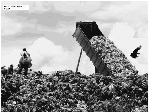 Questão 3032288 IPAD - Professor de Educação Básica (Pref Camaragibe)