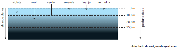 Questão 3069054 DSEA UERJ - Vestibular (UERJ)/2021