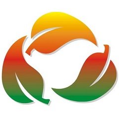 CODECA - Explore as questões do orgão e seus concursos mais recentes ...