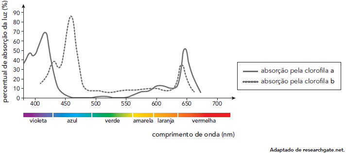 Questão 3069054 DSEA UERJ - Vestibular (UERJ)/2021