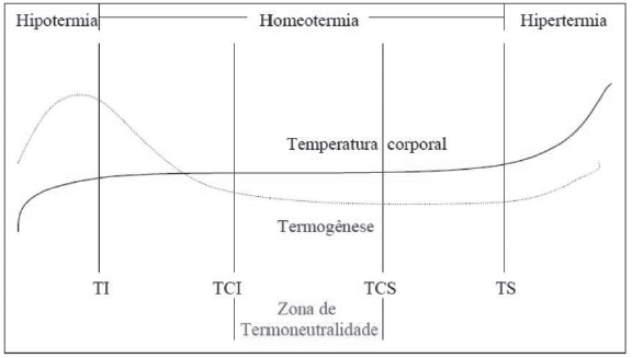 Questão 2305824 FACTO - Professor do Ensino Básico, Técnico e ...