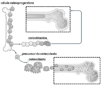 Questão 2210048 COMVEST UNICAMP - Vestibular (UNICAMP)